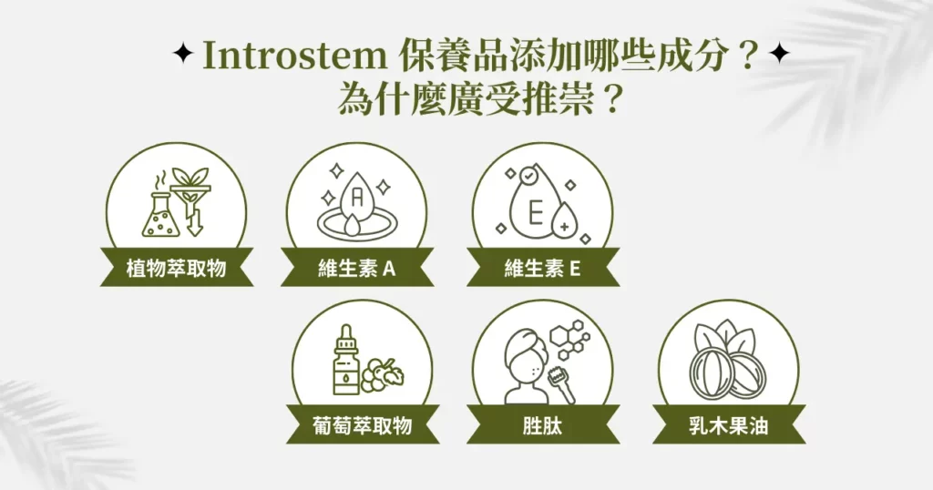 Introstem 評價好嗎？網羅網路上的各種留言！